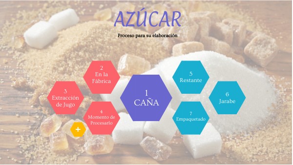 Proceso para la elaboración del Azúcar