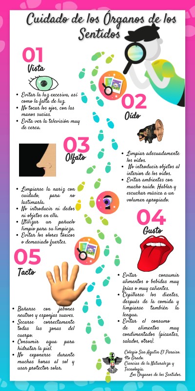 Cuidado de los sentidos.