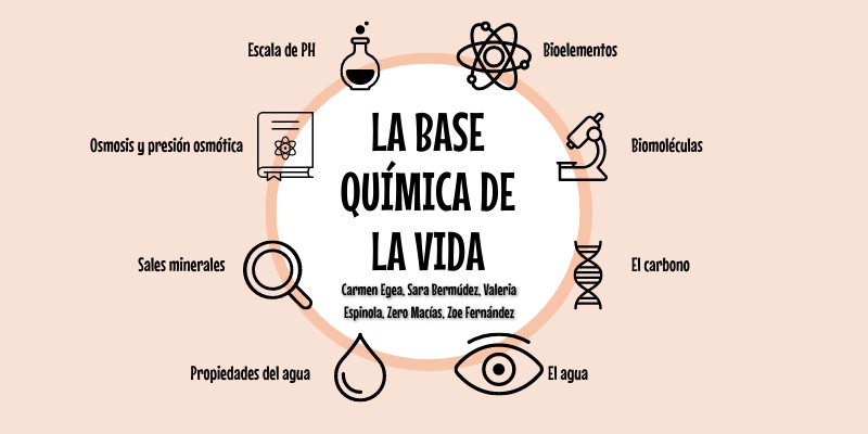 LA BASE QUÍMICA DE LA VIDA