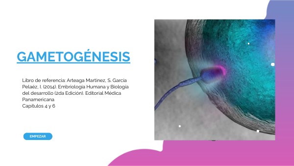 GAMETOGÉNSIS