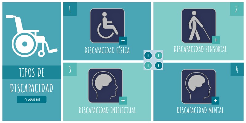 Los 6 Tipos De Discapacidad _ Definición y clasificación de la ...