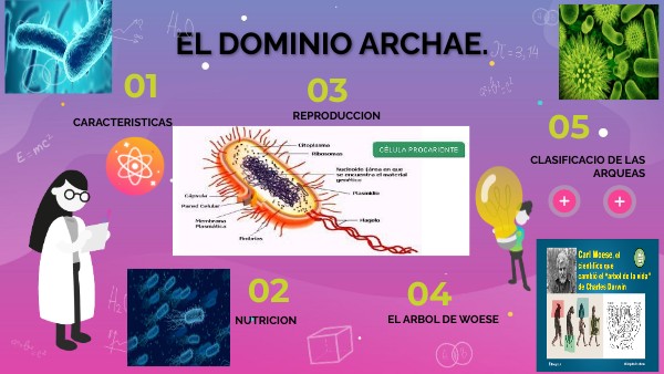 Caracteristicas del dominio Archae