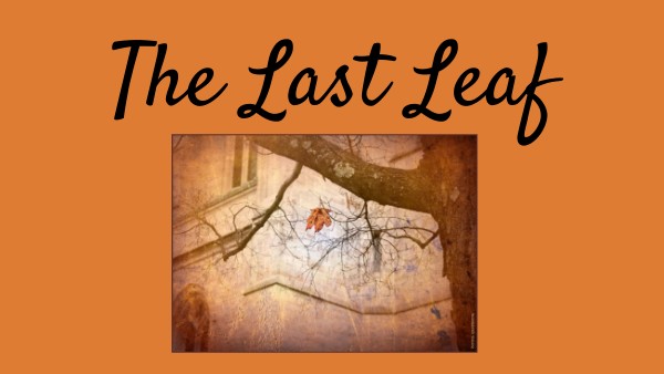 the last leaf project