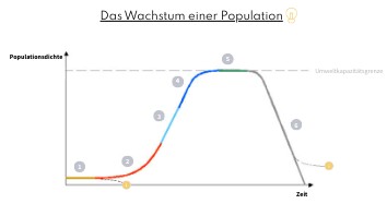 Wachstum einer Population