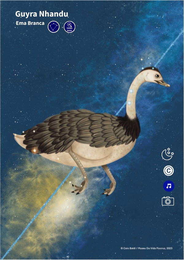 Guirá Nhandu: Ema Branca