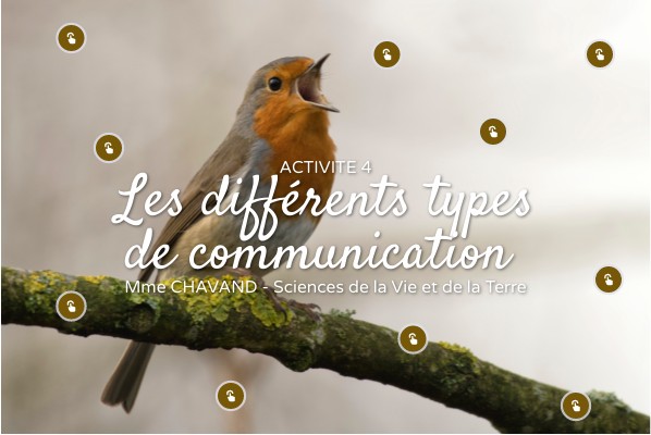 Les différents types de communication