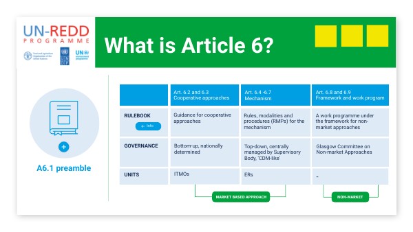 What is Article 6?