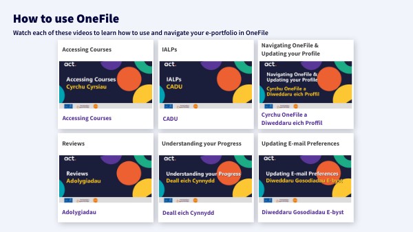 How To use Onefile (ENG)