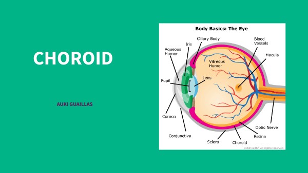 Choroid
