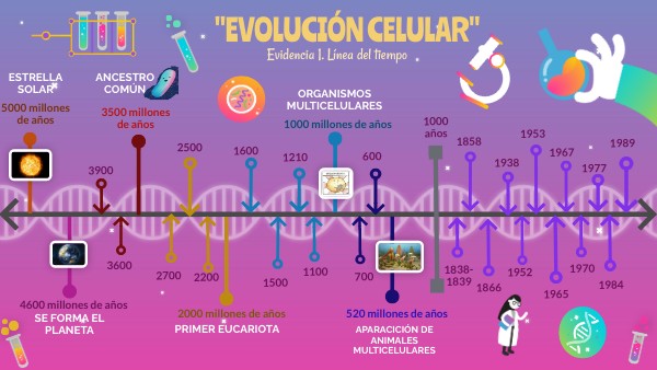 Evolución celular