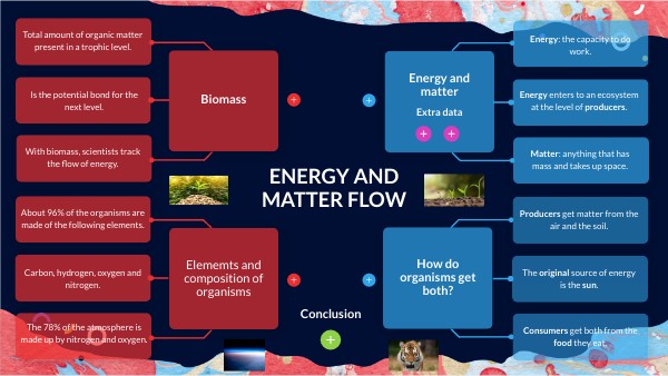 ENERGY AND MATTER FLOW