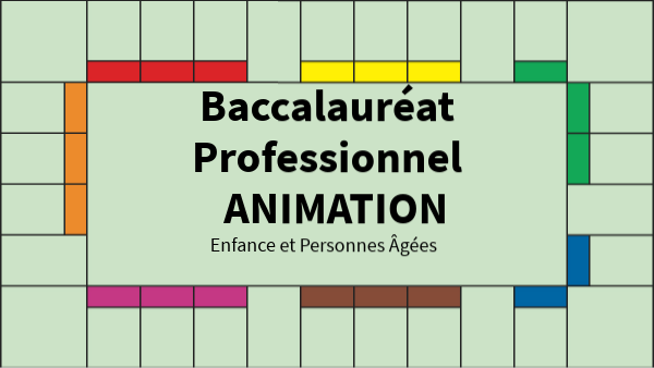 Présentation BAC PRO ANIMATION
