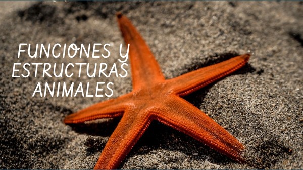 8A Funciones y estructuras animales