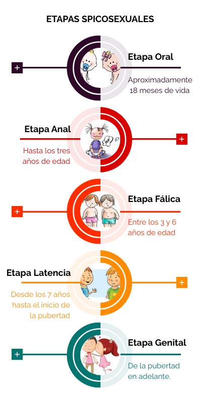 Etapas Psicosexuales de Freud