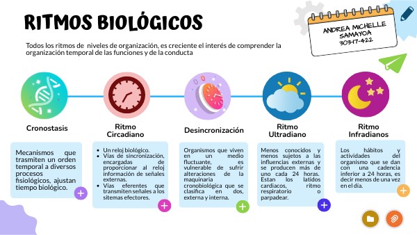 Ritmos Biológicos