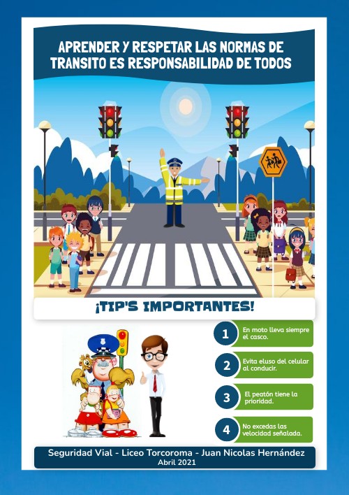 Afiche Seguridad Vial