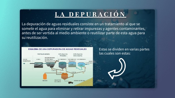 LA DEPURACIÓN