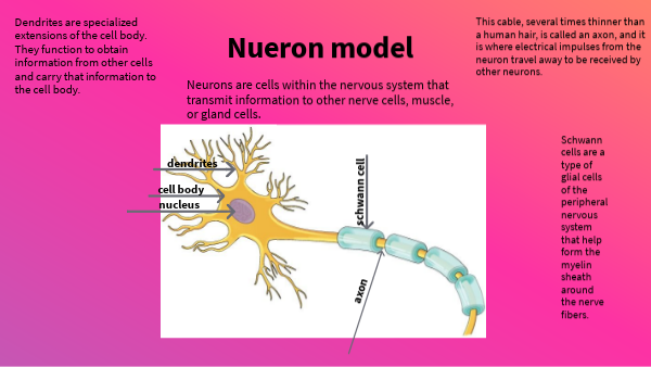 Neuron model
