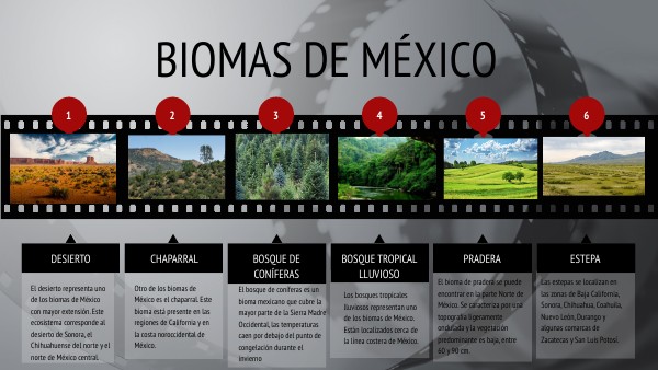 biomas de mexico