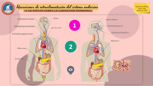 Diagrama Mecanismos de retroalimentación y su efecto