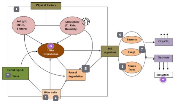 componentes de la descomposicion