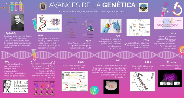 Línea del tiempo de los avances de la Genética