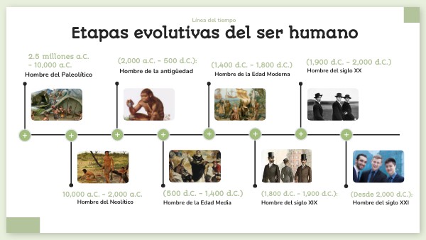 Línea del tiempo etapas evolutivas del ser humano
