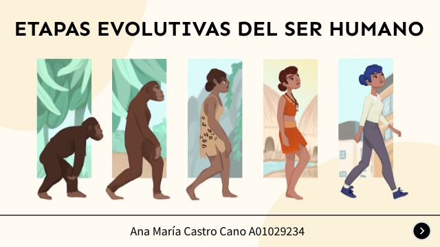Línea del tiempo etapas evolutivas del ser humano