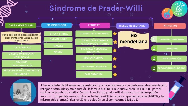 mapa Prader willi