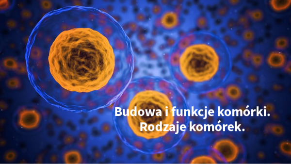 Budowa i funkcje komórek. Rodzaje komórek.