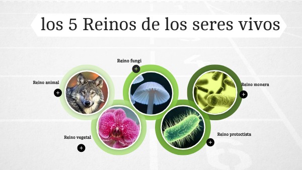 Infografia los 5 reinos de los seres vivos