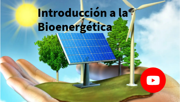 Introducción a la Bioenergética