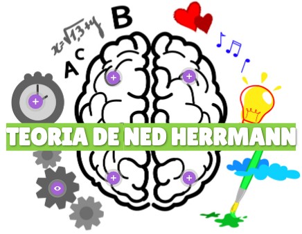 Teoría de Ned Herrmann