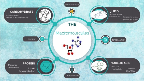 Macromolecules