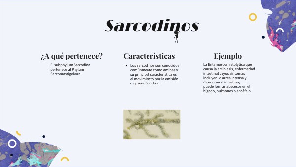 Sarcodinos