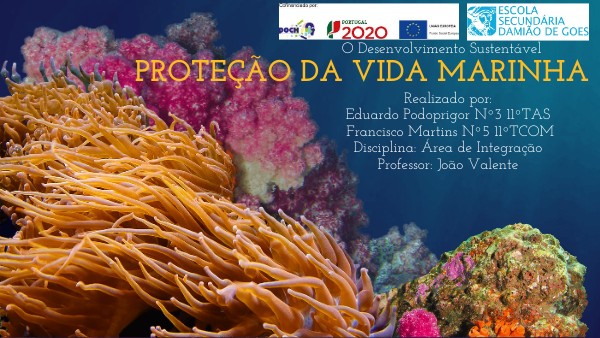 Proteção da Vida Marinha