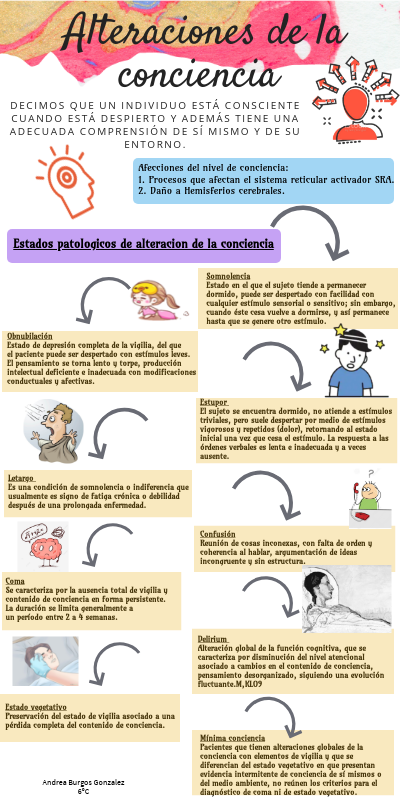 Alteraciones De La Conciencia
