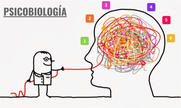 DEFINICION PSICOBIOLOGIA