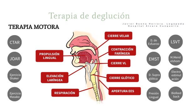 Terapia motora de deglución
