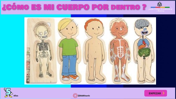 ¿COMO ES MI CUERPO POR dentro