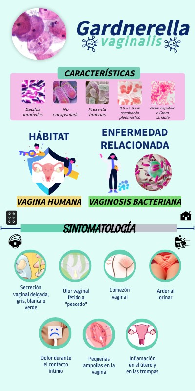 Gardnerella vaginalis by margo.hi85 on Genially