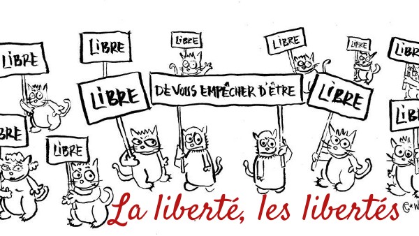 liberté, libertés