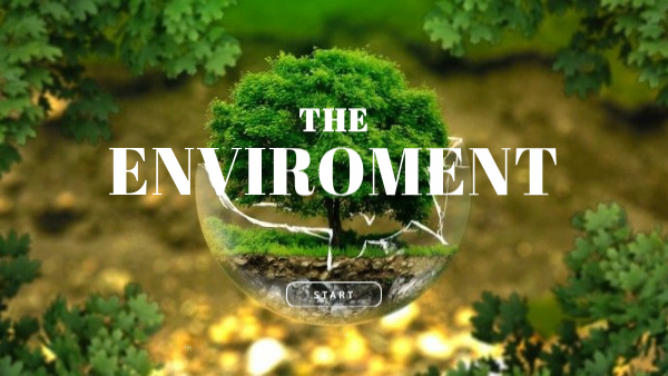 THE ENVIRONMENT