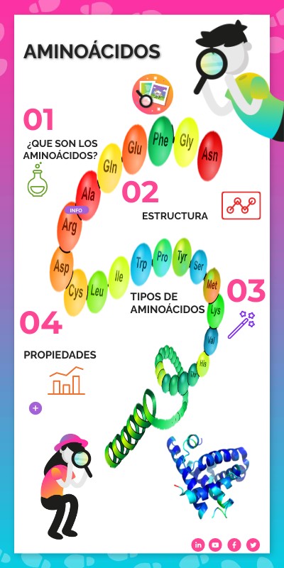AMINOÁCIDOS