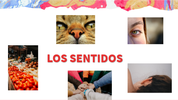 LOS SENTIDOS