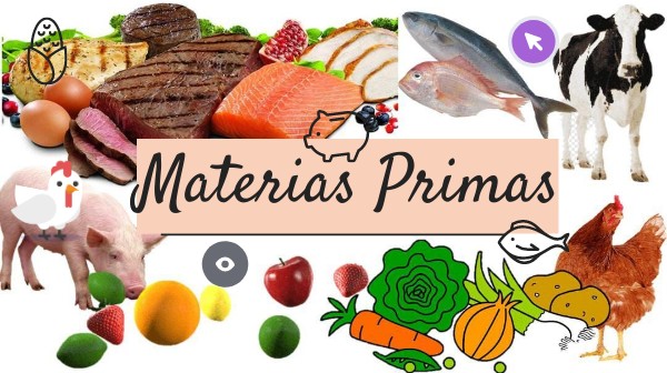 MATERIAS PRIMAS