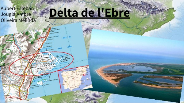 Delta de l'Ebre