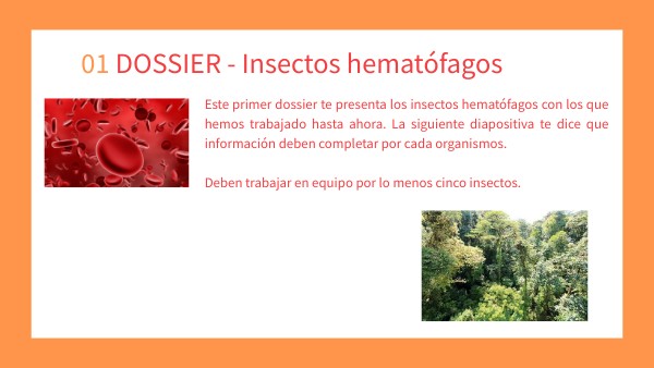 1-DOSSIER_INSECTOS HEMÁTOFAGOS