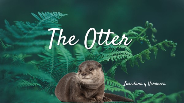 The otter