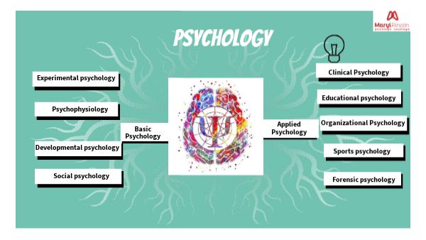 Branches of psychology